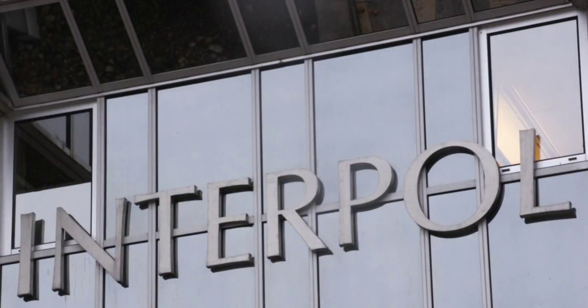 Uproar as China pushes for Interpol executive committee post
