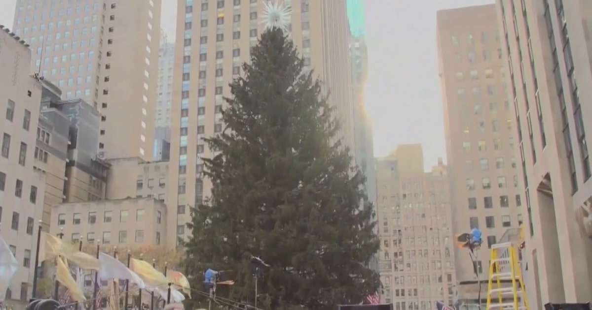 Crowds gather ahead of Rockefeller Center Christmas tree lighting