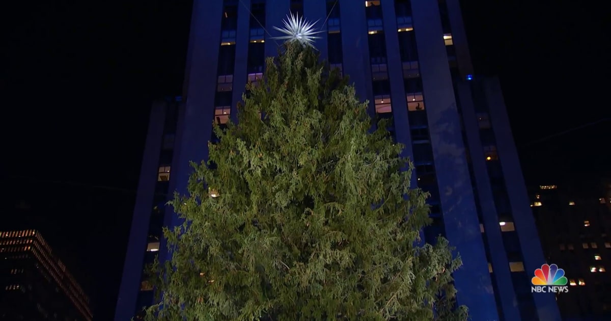 An up-close look at this year’s Rockefeller Center Christmas Tree
