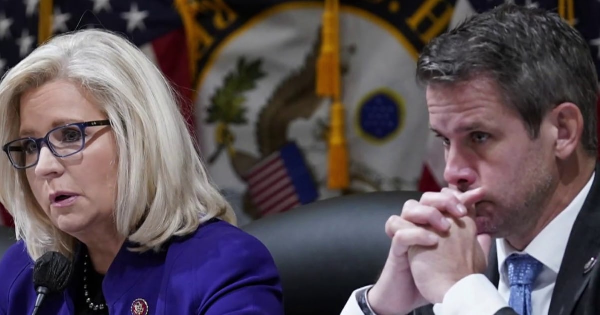 Michael Steele: GOP rails against cancel culture, but censuring Cheney ...