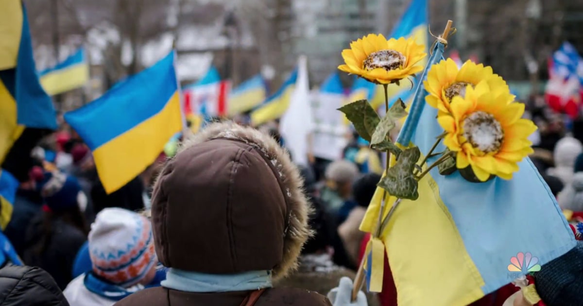 Sunflowers marking support for Ukraine