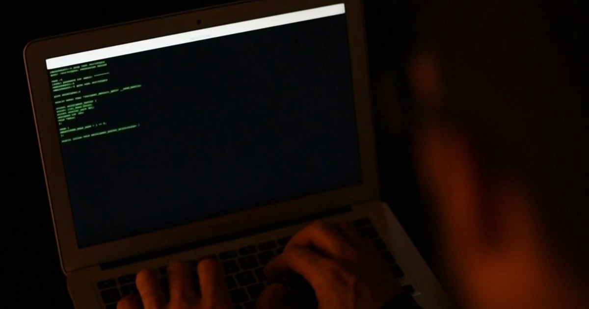 Cyber security expert says Ukrainian hackers are breaking into Russian ...