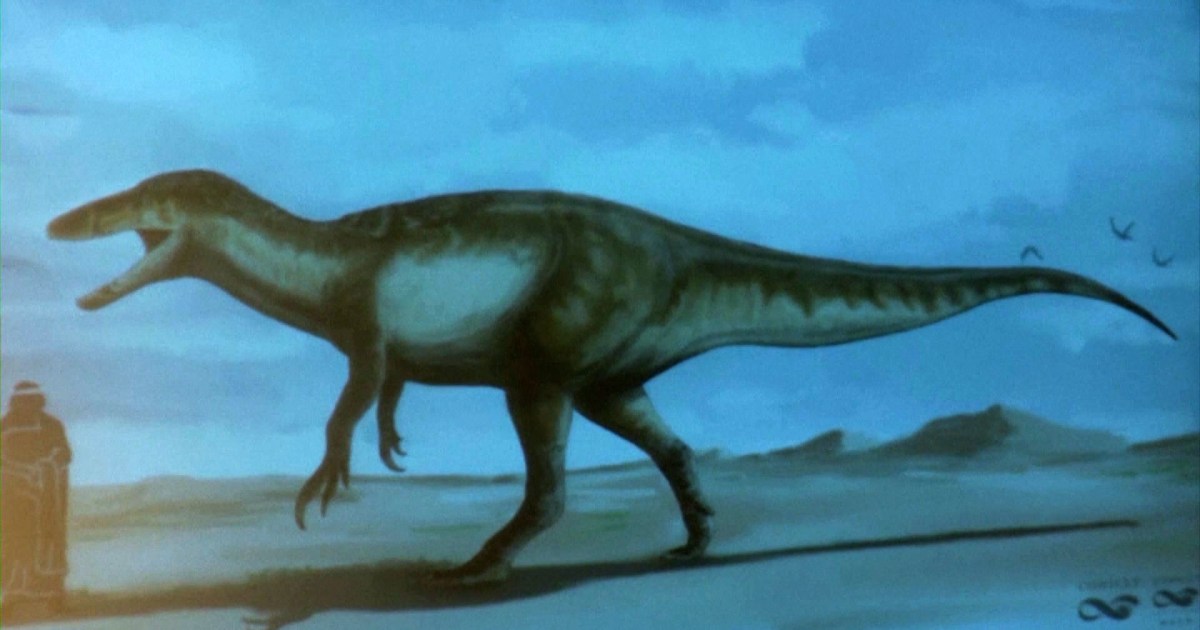 Fossil of 'megaraptor' with blade-like claws discovered in Argentina