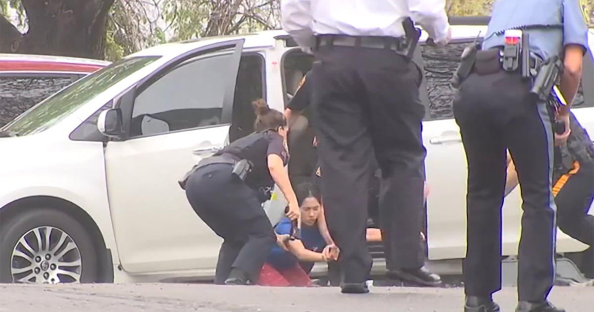 Video shows arrest of Pennsylvania mother who allegedly shot her two sons