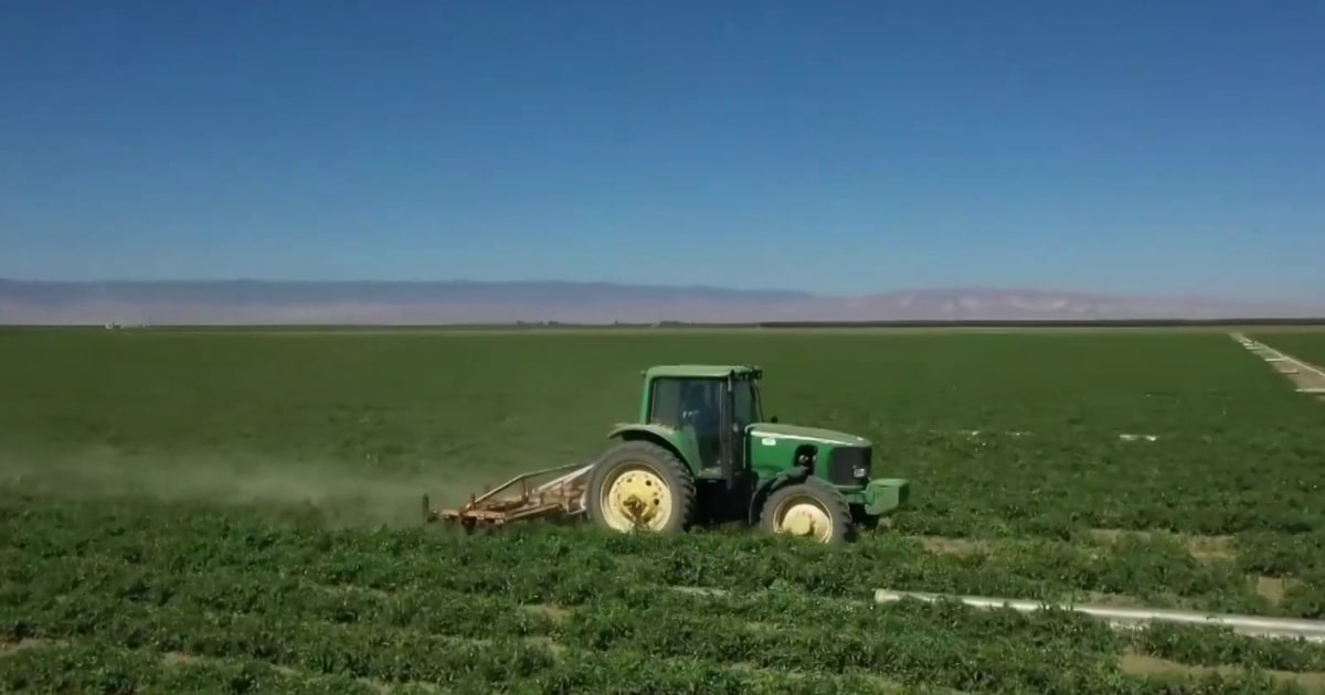 Drought causes California farmers to struggle with crops