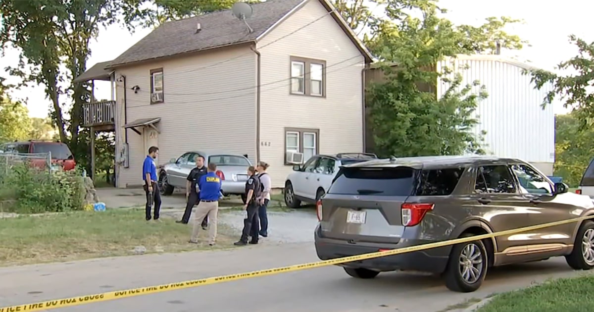 Neighbors react after three men found dead in Illinois home