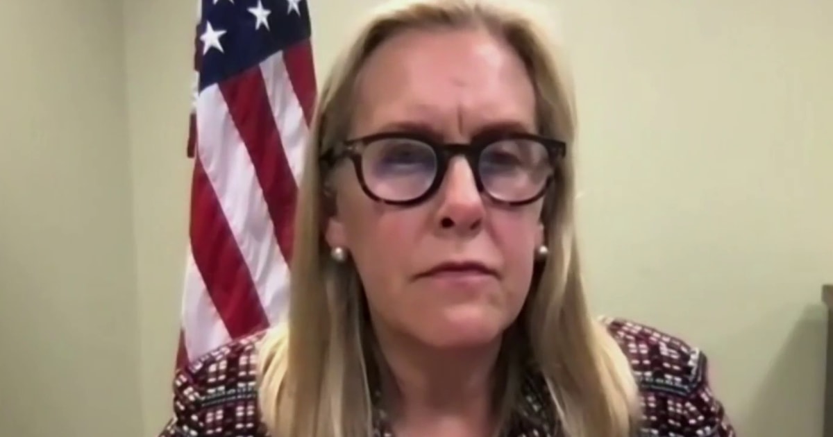 Highland Park mayor: ‘It was pure devastation’