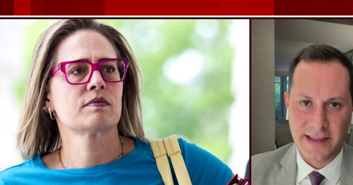 Sam Stein: There is 'emotional commitment' to climate, tax deal