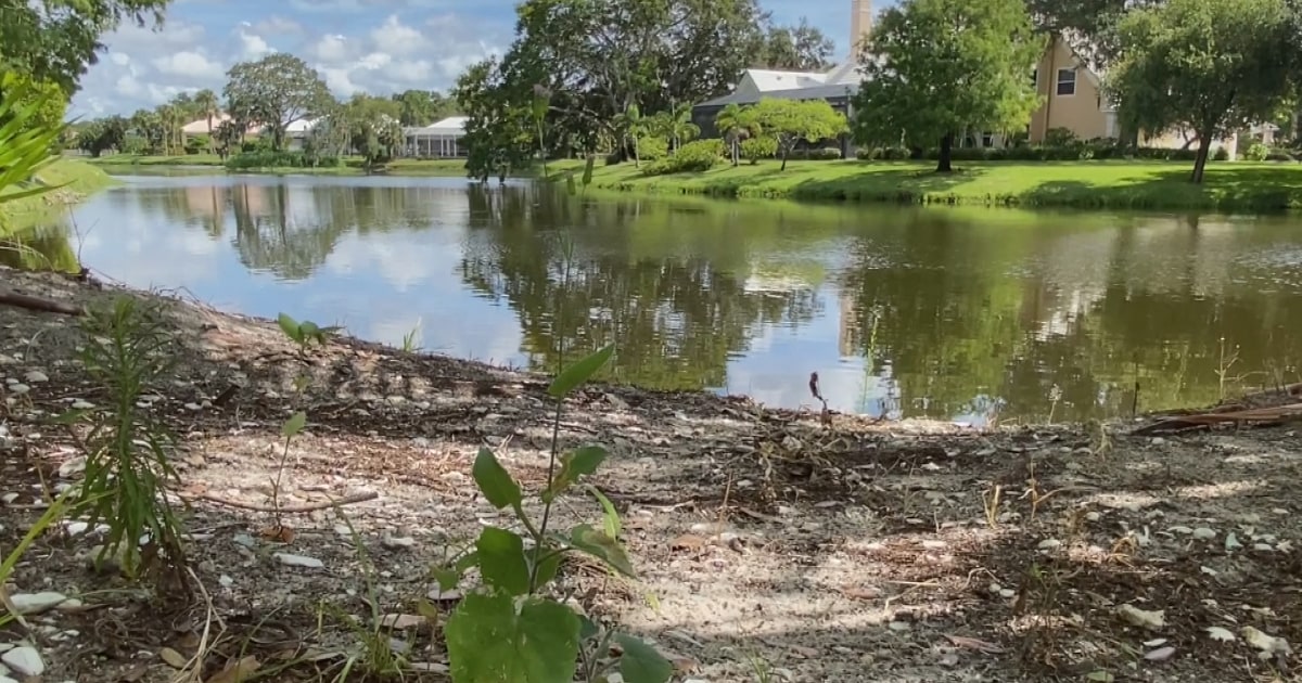 Elderly Florida woman dies after alligator attack