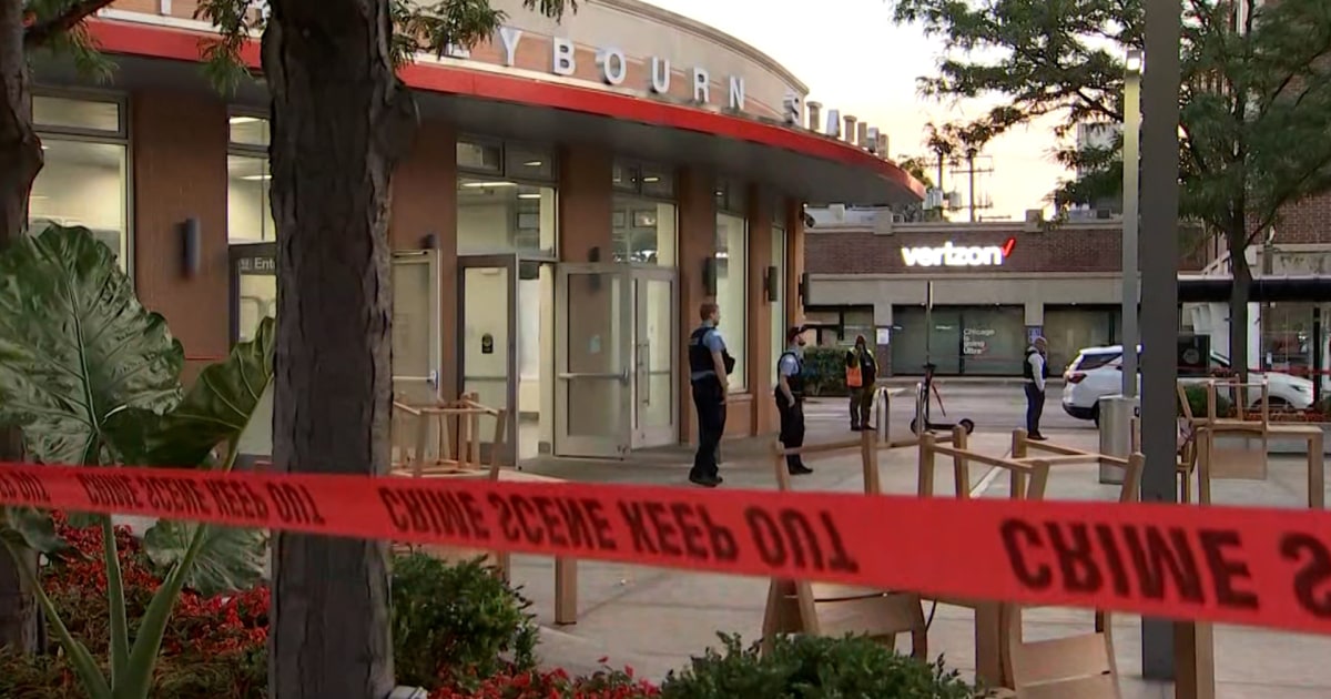 Community shaken after violent attempted robbery on Chicago train