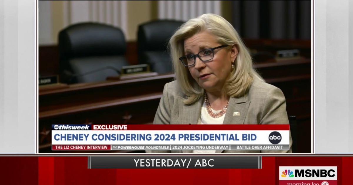 Cheney says she has 'no regrets' and feels sad about where her party is