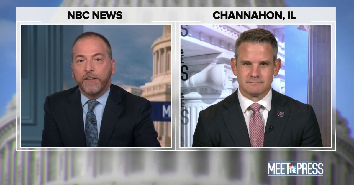 'Stop the Steal' was just about raising money, Kinzinger says