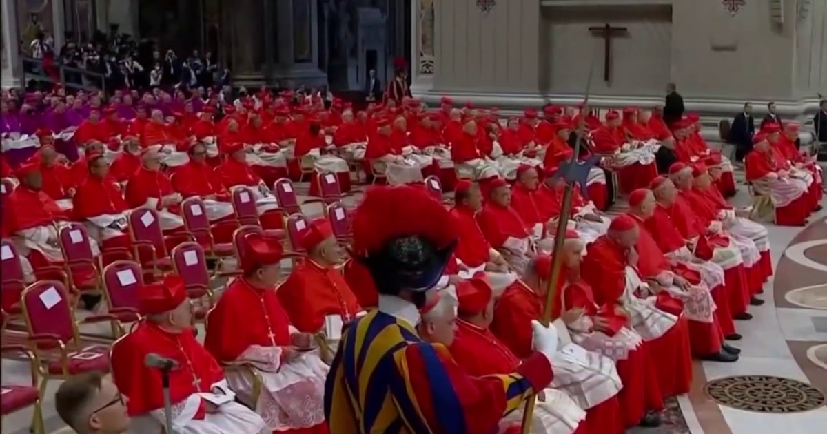 Pope Francis elevates new class of cardinals