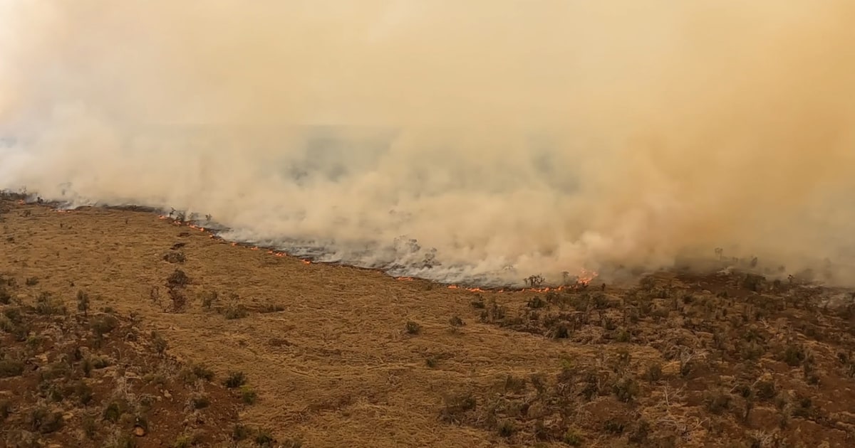 Wildfire fueled by high winds burning on Hawaii’s Big Island