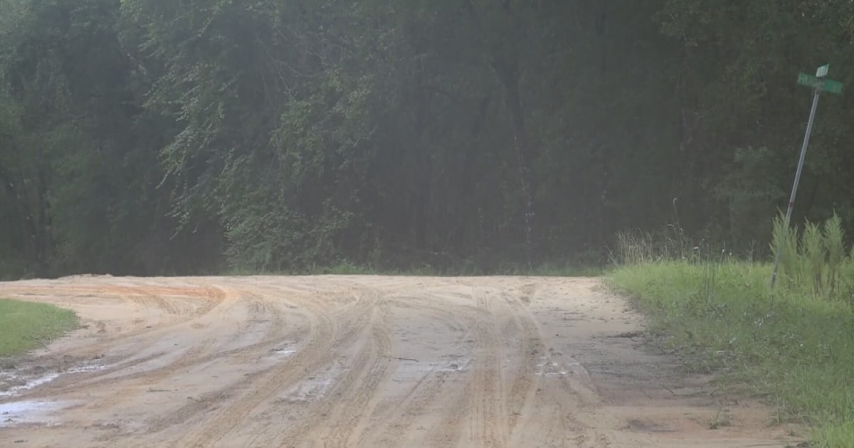 Florida postal carrier mauled by dogs after car breaks down