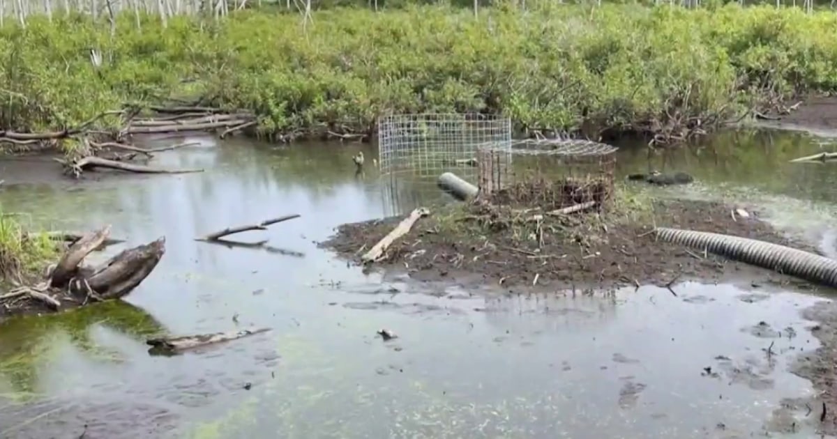 Federal government declares parts of New England 'natural disaster ...