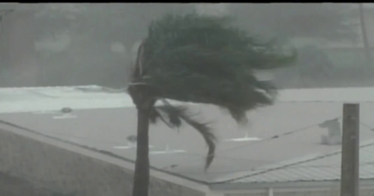 Scientists point to climate change as main driver of intensifying ...