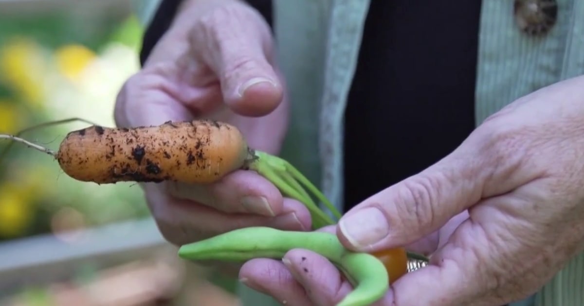 How smokers are using psychedelics to help them quit for good