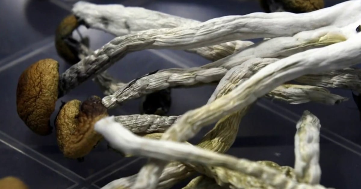 How magic mushrooms could help smokers quit for good