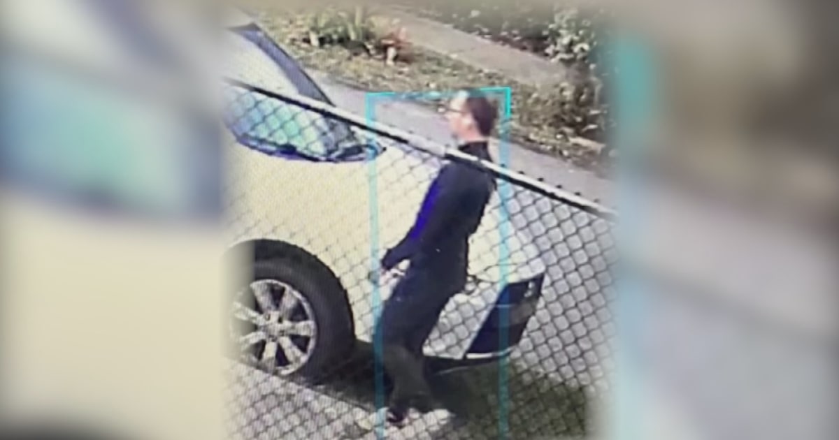 Security footage shows kidnapping attempt outside of Florida school