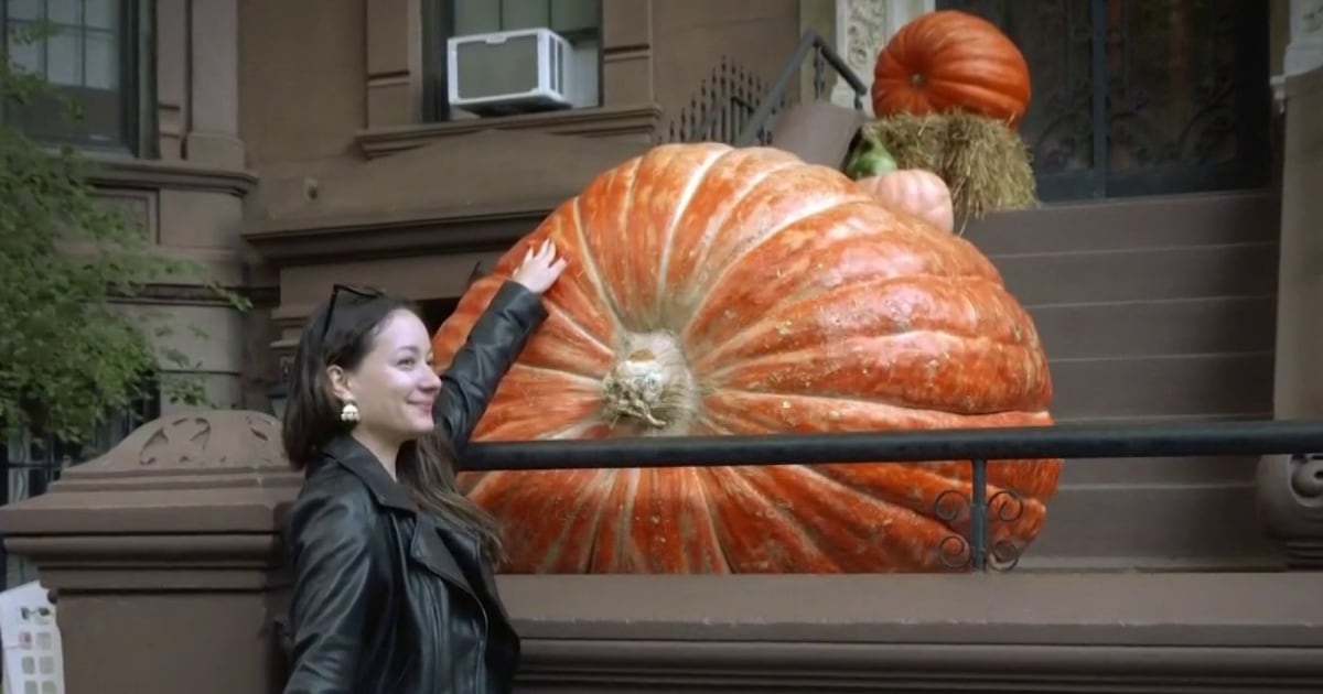 1,000-pound pumpkin brings smiles to Brooklyn