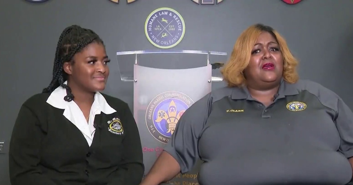 Mother answers daughter's 911 call during armed robbery