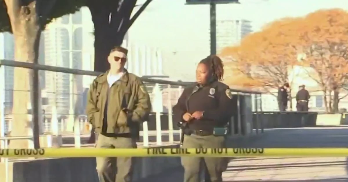 Suspect arrested in sexual assault of jogger in NYC may be linked to ...