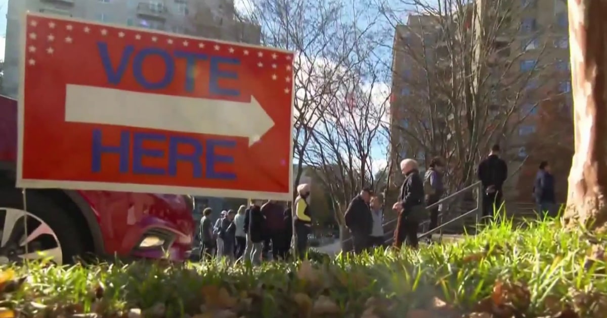 Georgia sees record early turnout for Senate runoff election