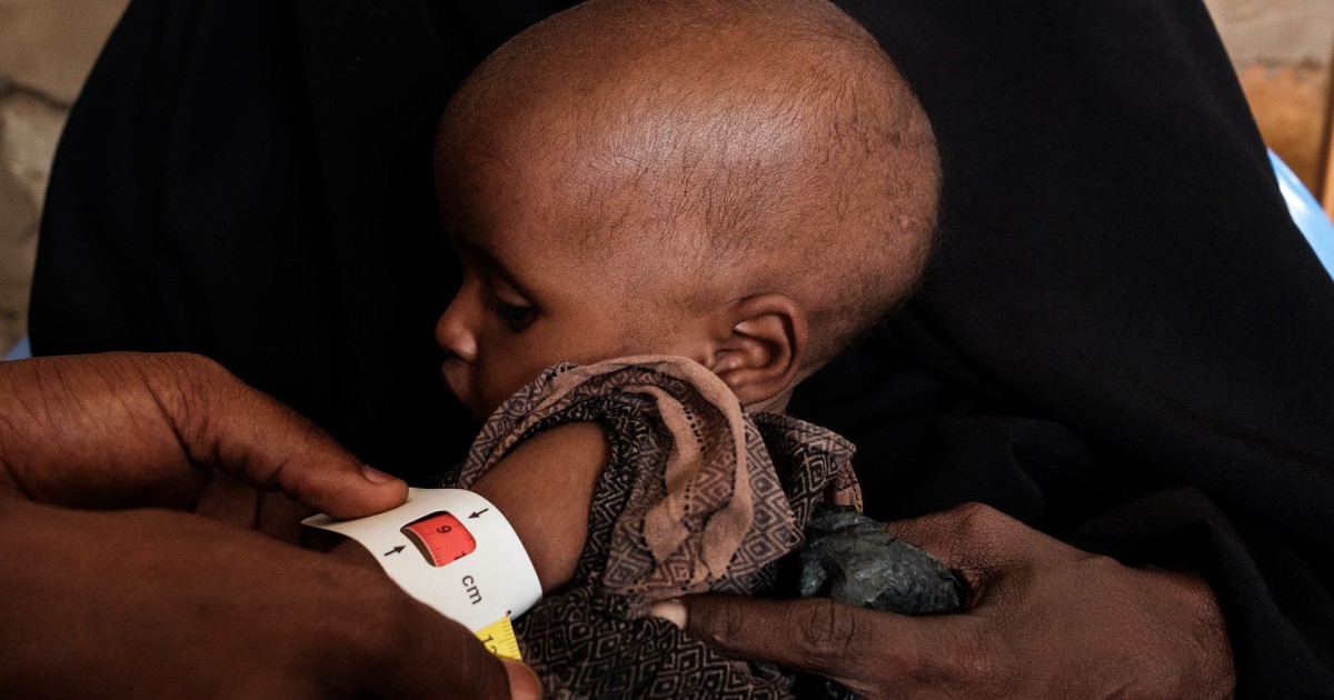 Millions face food insecurity in Somalia's worst drought for 40 years