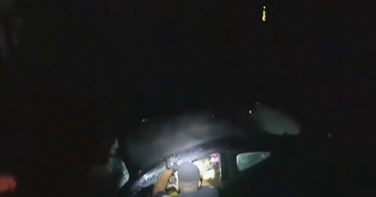 Police pull trapped woman out of car in Florida canal