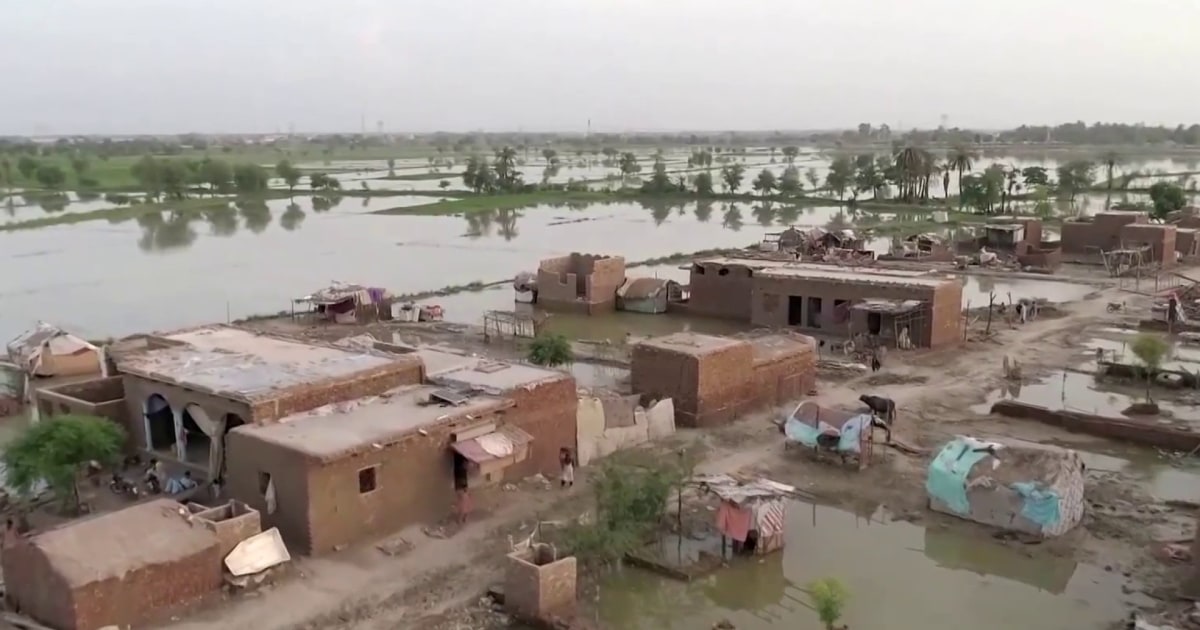 Pakistan FM: Flooding in Pakistan is 'the worst climate catastrophe we ...
