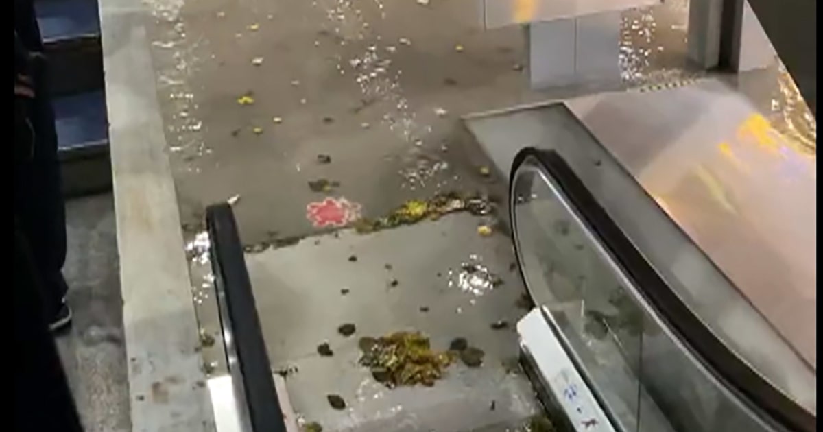 Heavy rains lead to deadly floods in Lisbon, Portugal