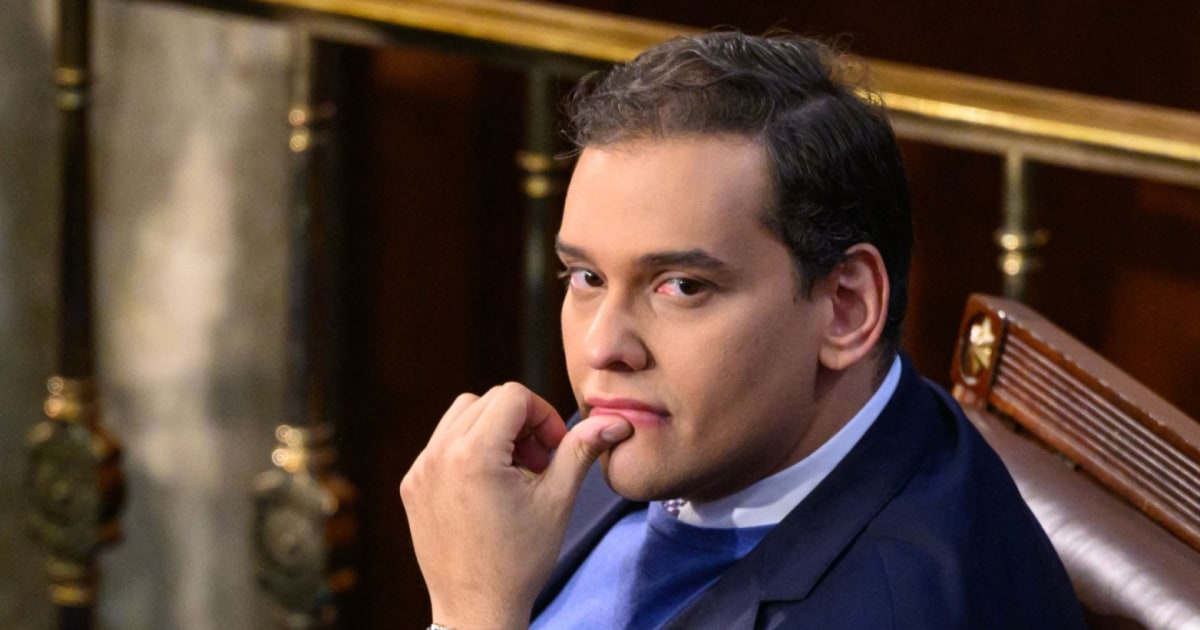 Disabled veteran: George Santos took $3k from dying dog’s GoFundMe