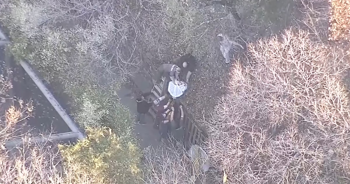 Missing clouded leopard recovered at Dallas Zoo