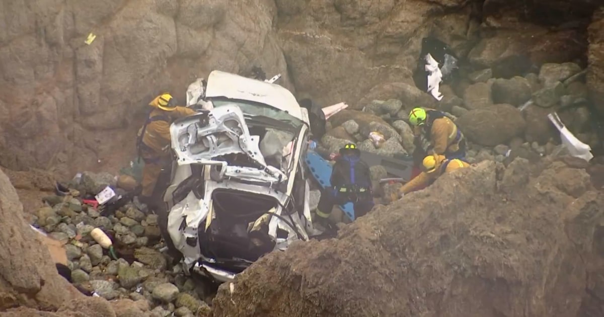 Tesla driver charged with attempted murder after driving family off ...