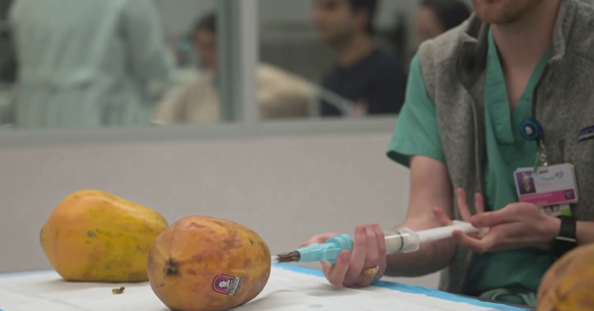 Why post-Roe OB-GYN training uses papayas and tomatoes