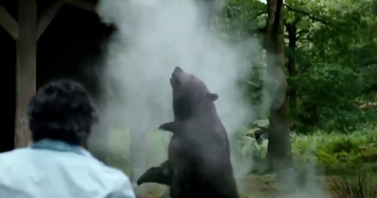 The true story behind Hollywood's dark comedy 'Cocaine Bear'