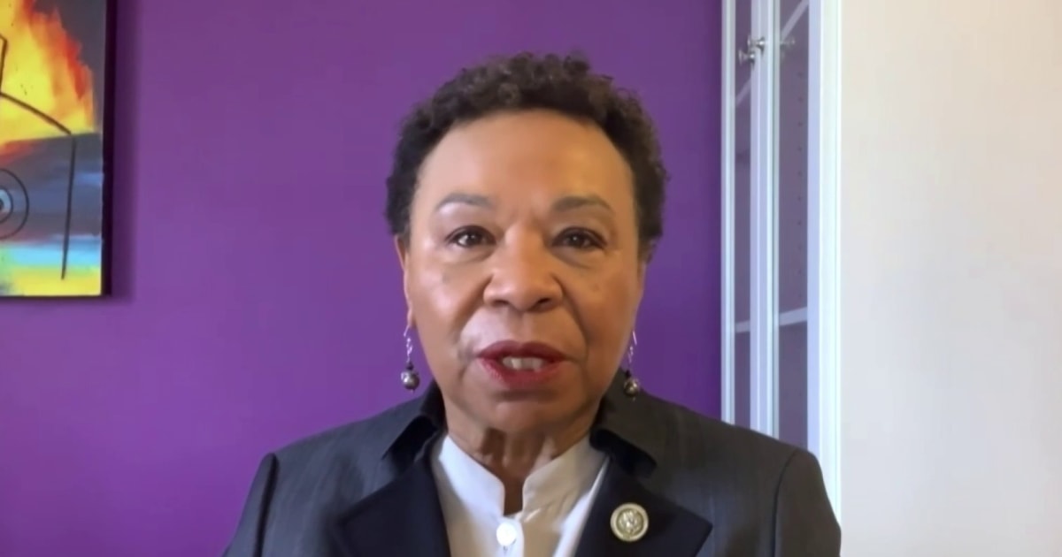 'The economy has to work for everyone': Rep. Lee on her Senate bid