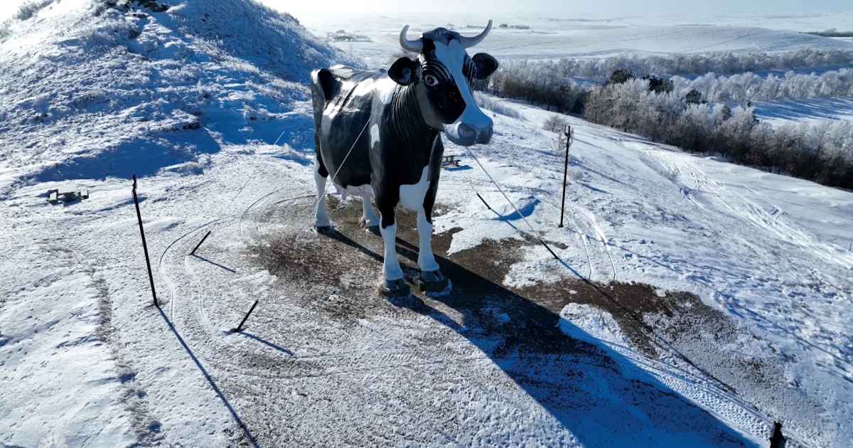 A Postcard from the Field: Salem Sue