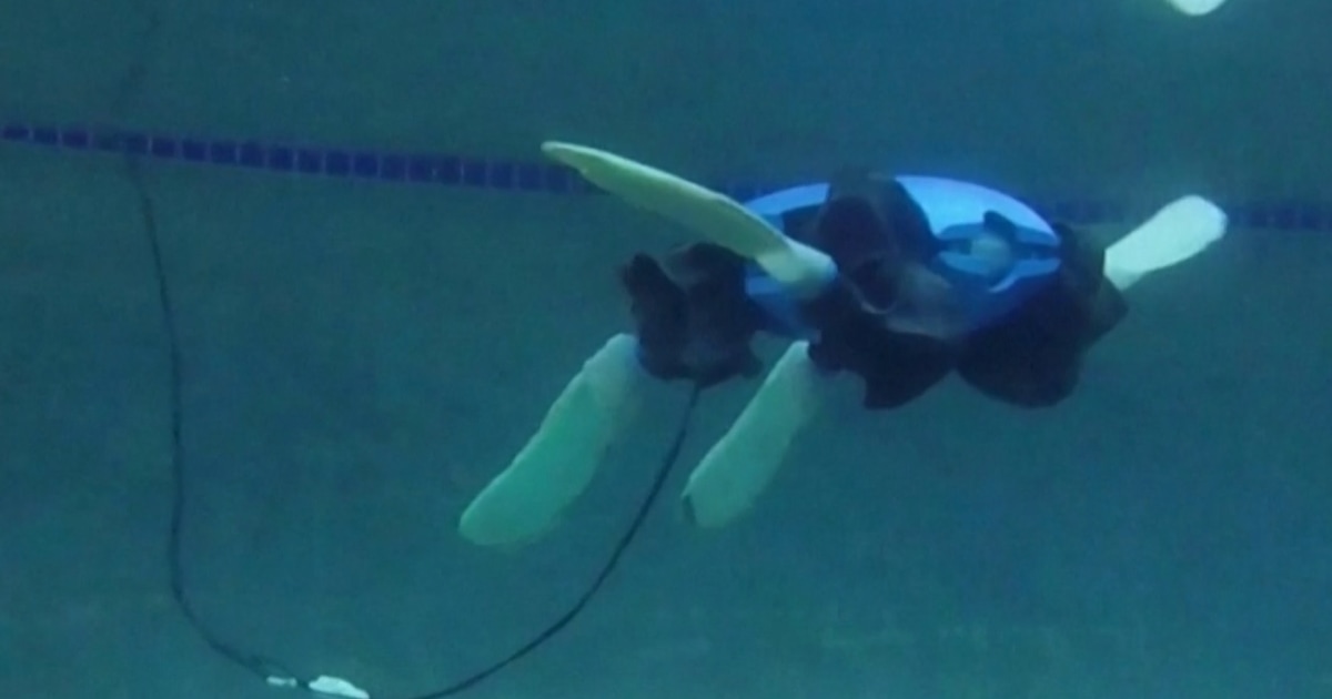 Yale researchers develop turtle-like robot