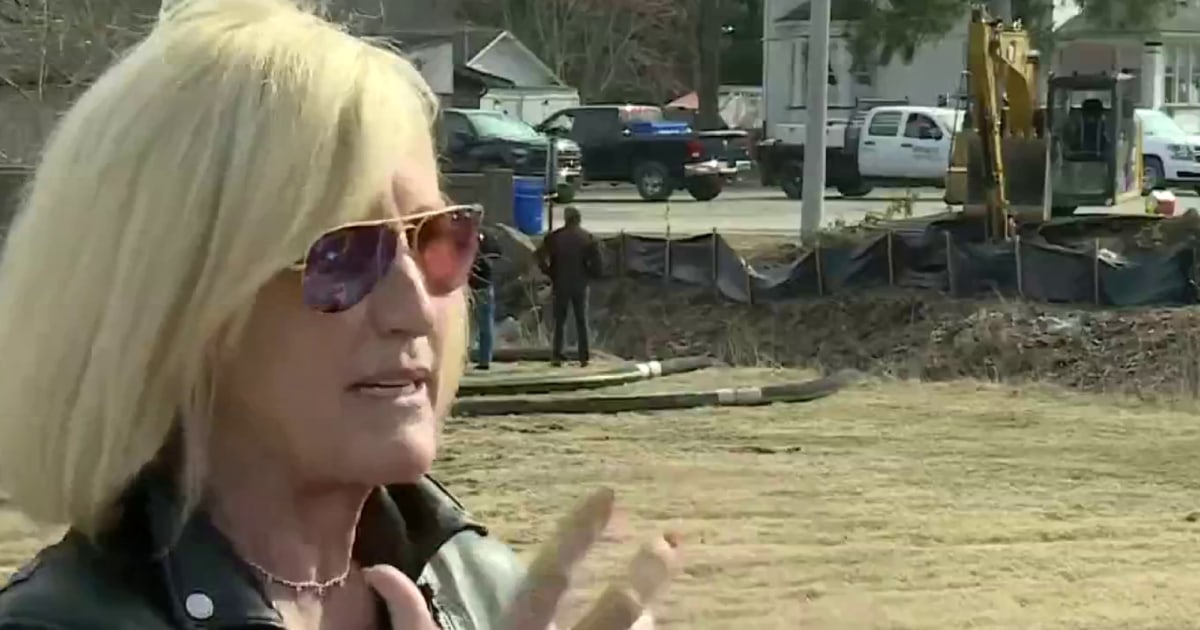 Erin Brockovich visits East Palestine as concern grows over health ...