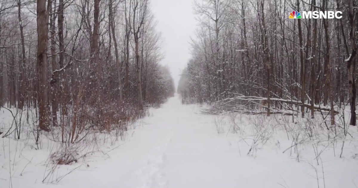 Growing number of migrants crossing into U.S. from northern border