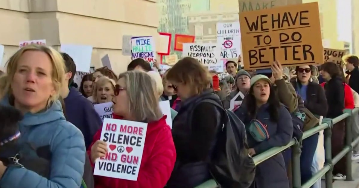 Protesters rally for gun reform at Tennessee state capitol after ...