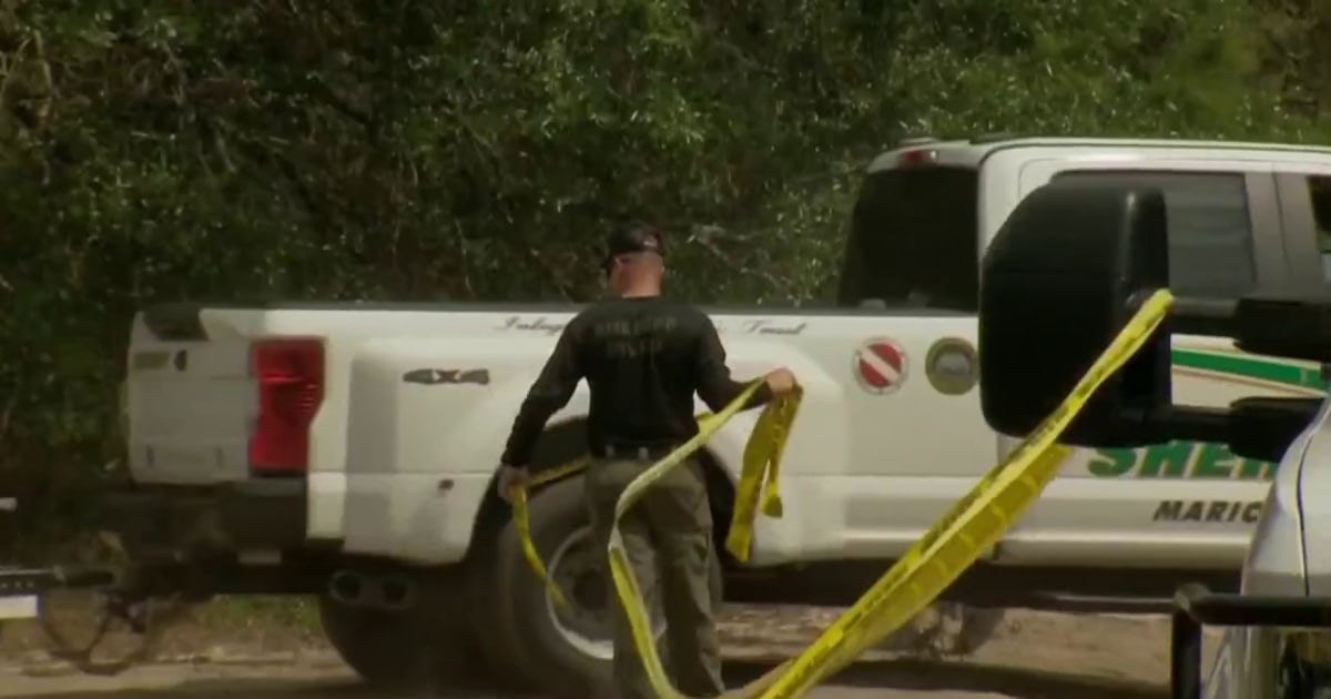 Two minors arrested, third at large in alleged Florida gang shooting