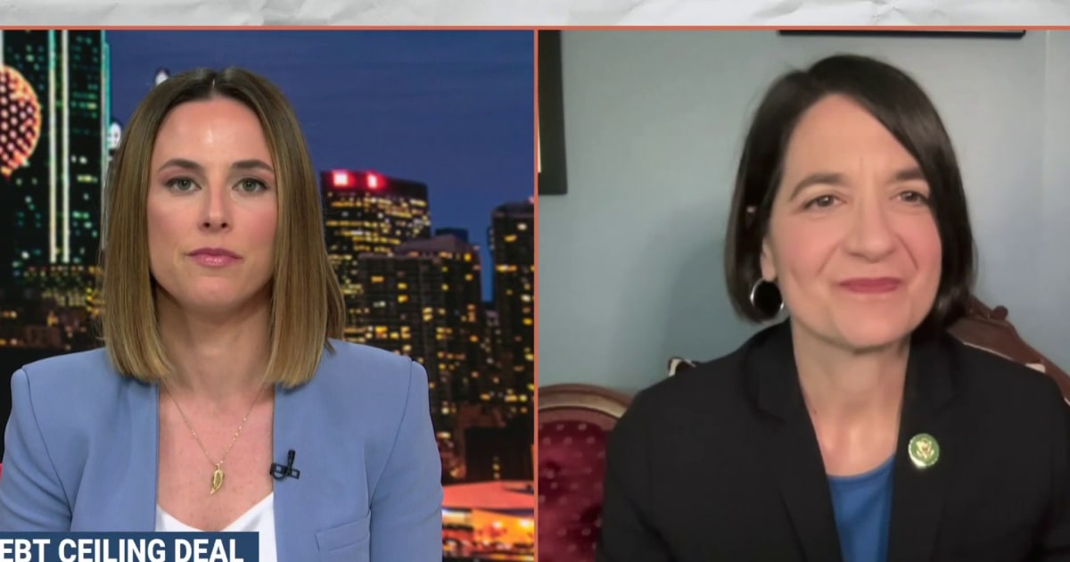 Rep. Balint: Situation made clear 'we must abolish the debt ceiling'