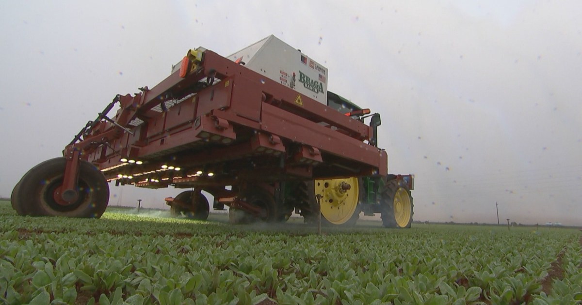 AI meets agriculture with new farm machines to kill weeds and harvest crops