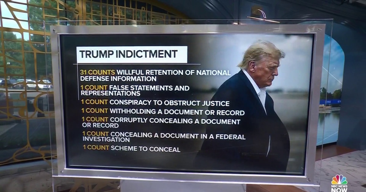 Trump indictment charges paint ‘damaging portrait of reckless and ...