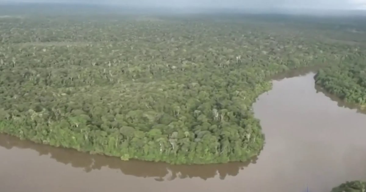4 children found alive 40 days after plane crashed in Amazon jungle