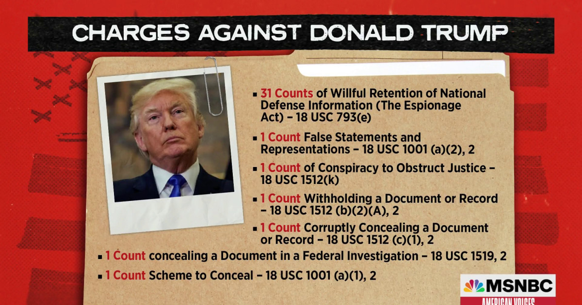 'His strategy of course will be delay': Breaking down Donald Trump's ...