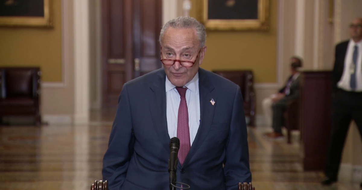 Schumer discusses proposed framework to regulate AI